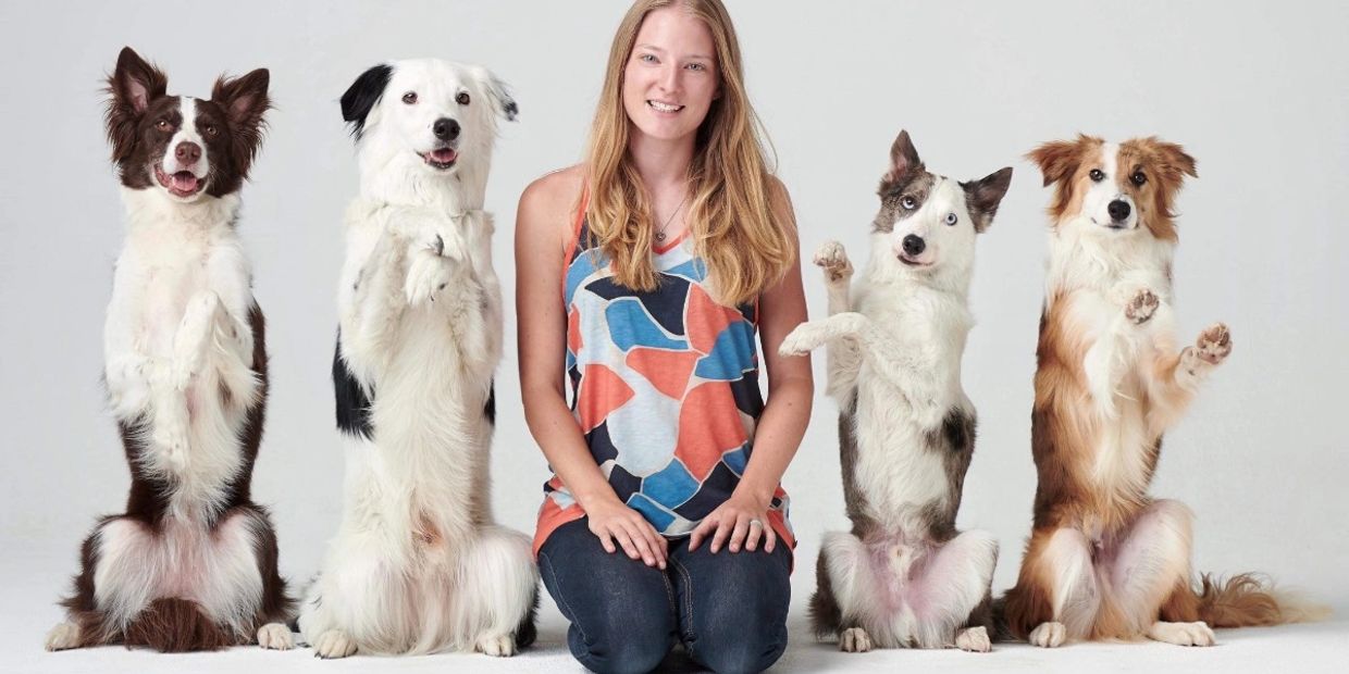 Entertaining Dog Trick Training Classes